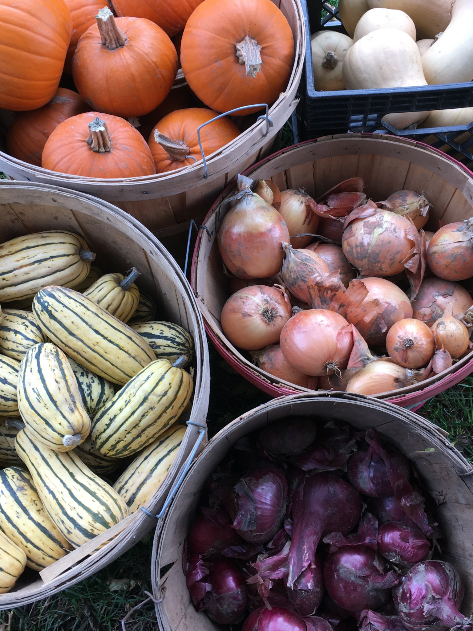Our Harvest and Christmas Markets are on! – Almonte Farmers Market