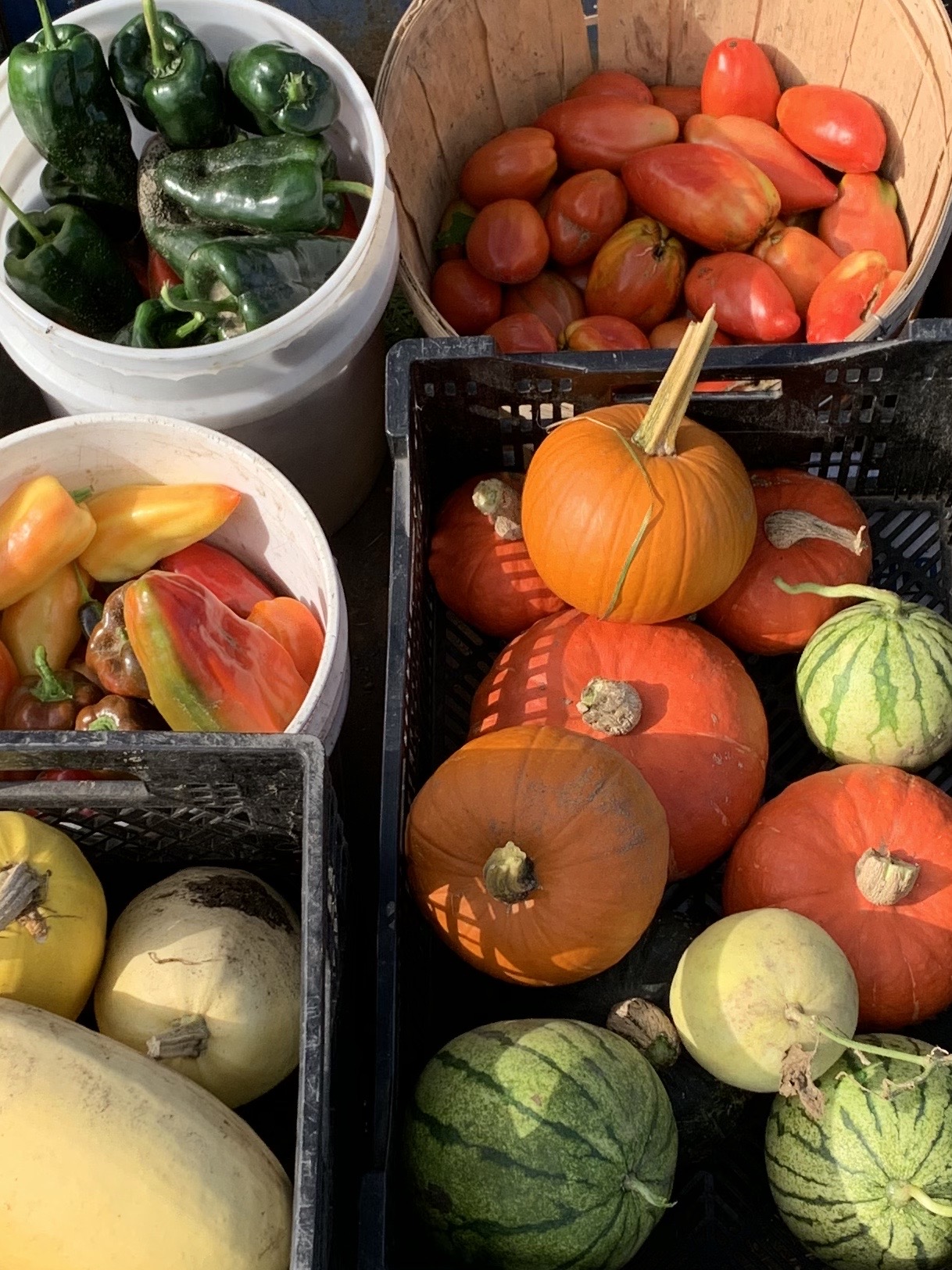 Important Market Dates for Fall & Winter! – Almonte Farmers Market